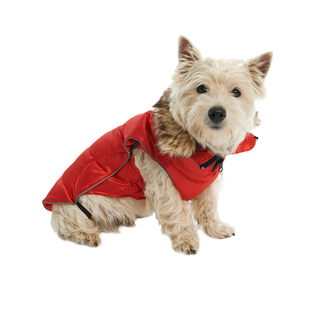 BUSTER Dog Coats - Provet Australia