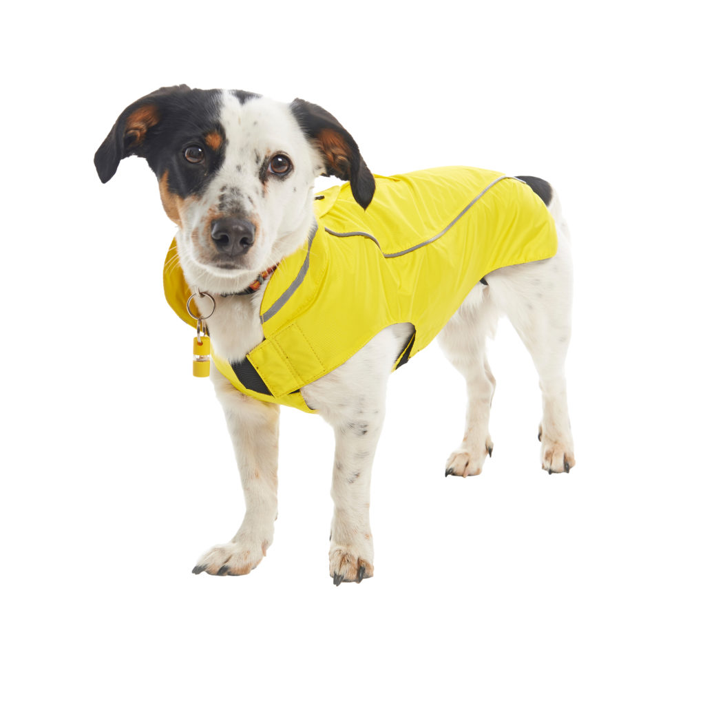 BUSTER Dog Coats - Provet Australia