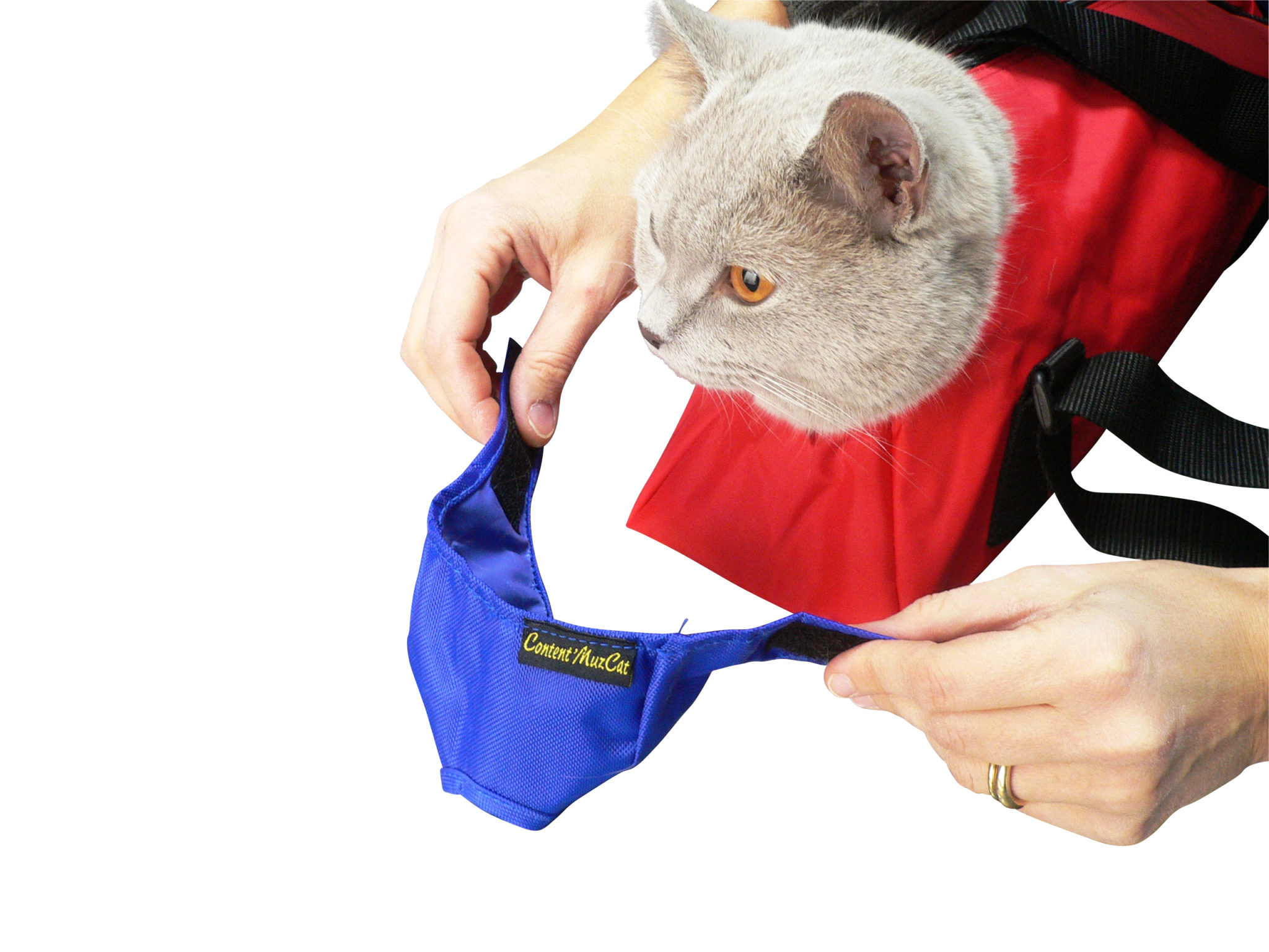 BUSTER Nylon Cat Muzzle - Provet Australia