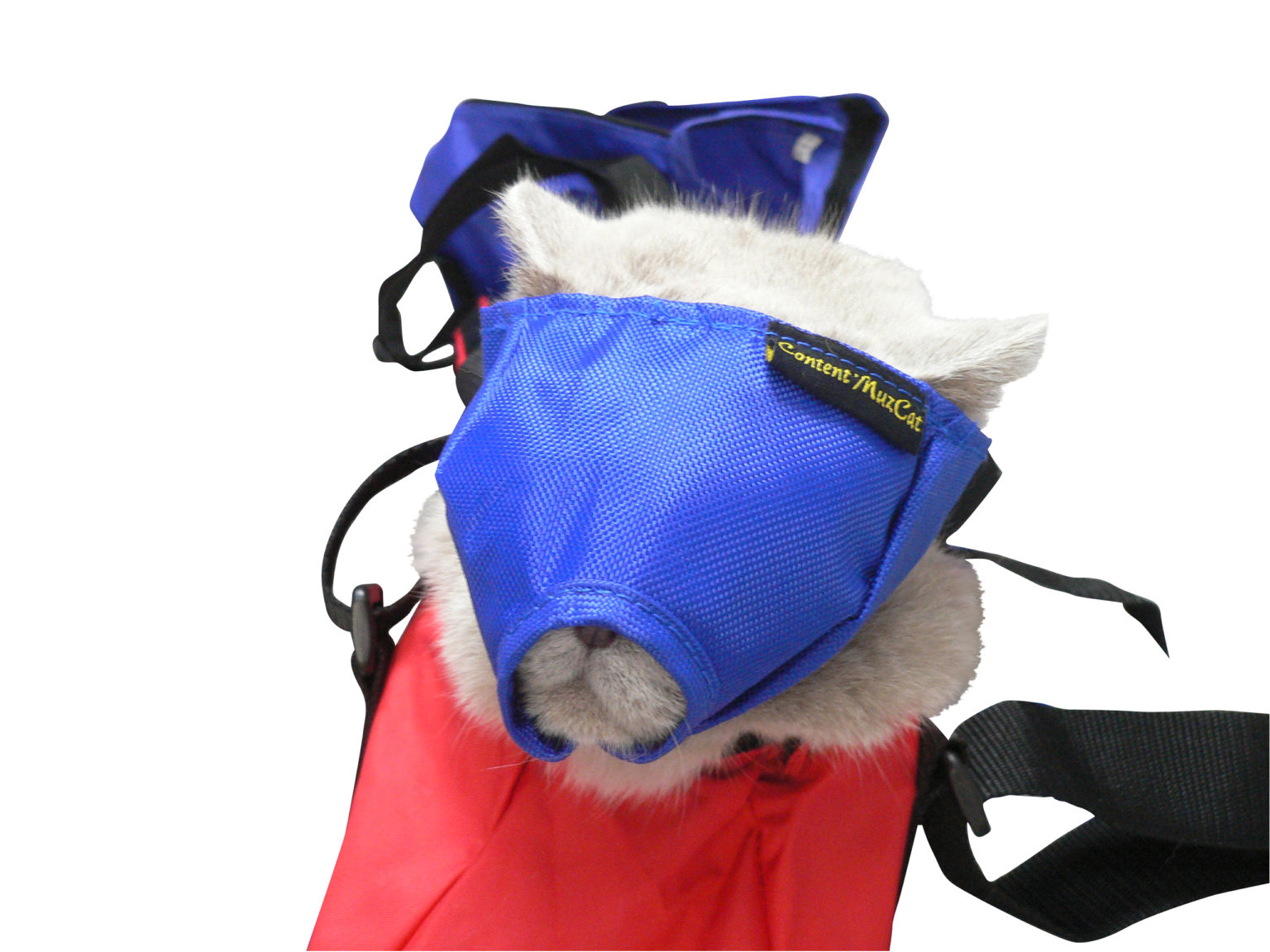 BUSTER Nylon Cat Muzzle - Provet Australia