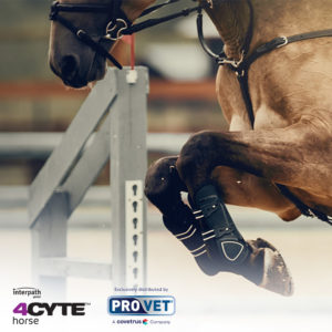 News and Events - Provet Australia