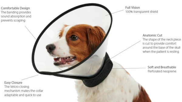 BUSTER Complete Collar - Provet Australia