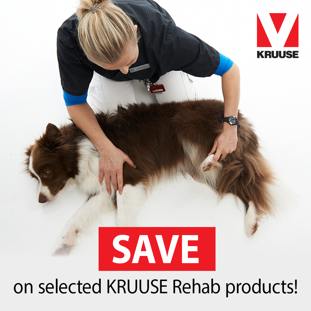 KRUUSE Canine Rehab Offer - Provet Australia