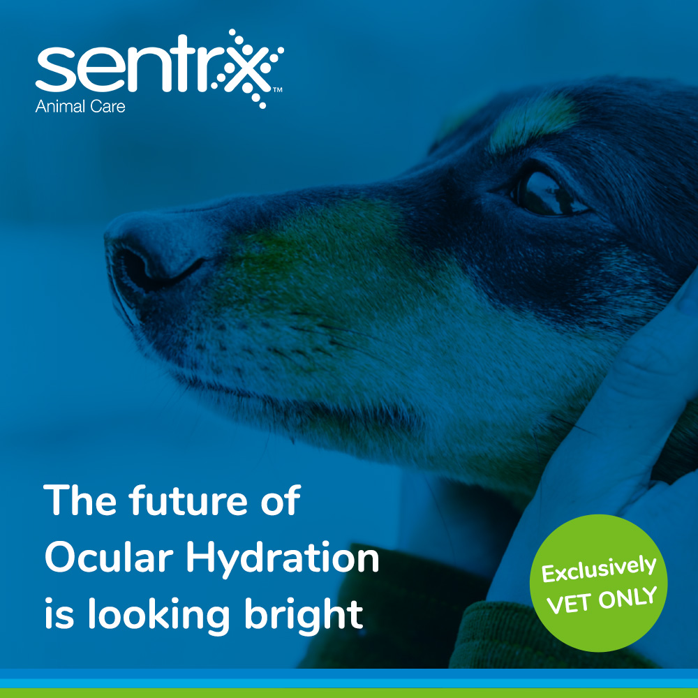 Provet Australia - Veterinary Supplies & Distribution