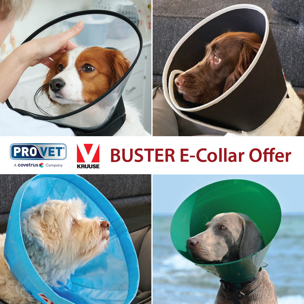 KRUUSE - Provet Australia