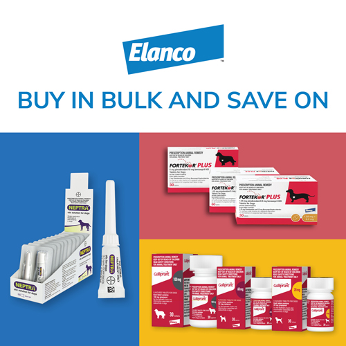 Provet News - Provet Australia