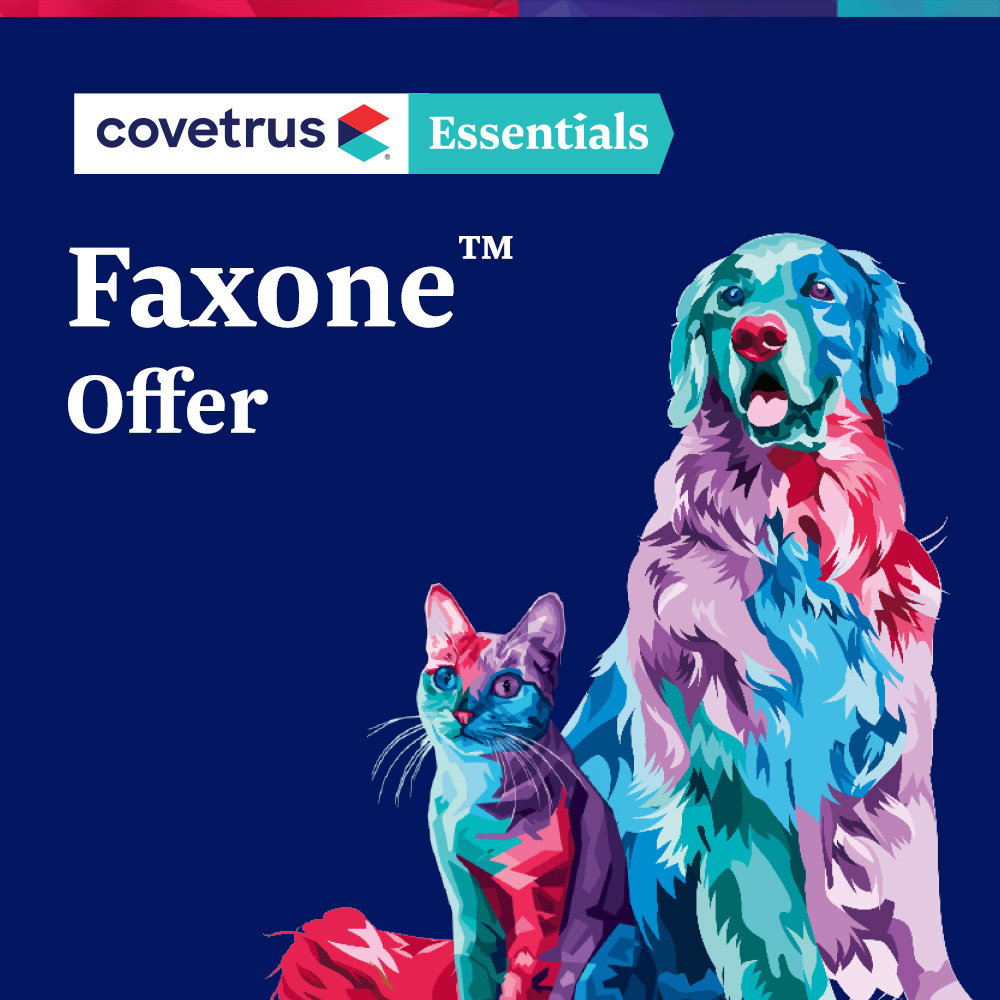 Provet Australia - Veterinary Supplies & Distribution