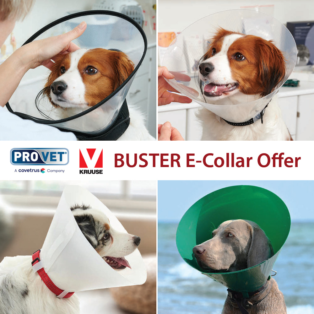 Promotions - Provet Australia