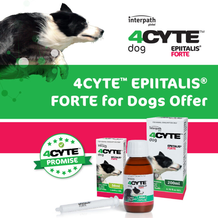 Provet Australia - Veterinary Supplies & Distribution