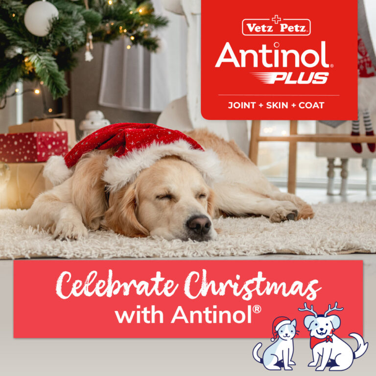 Provet Australia - Veterinary Supplies & Distribution