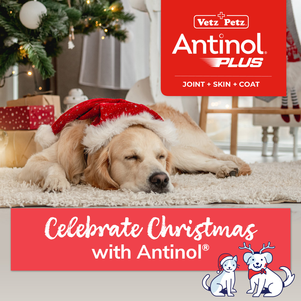 Provet Australia - Veterinary Supplies & Distribution