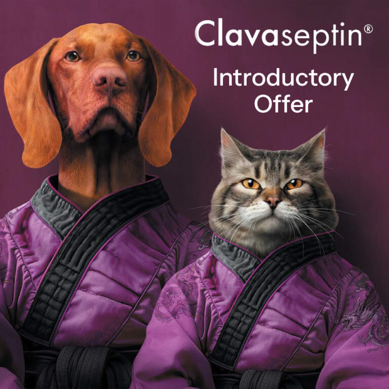 Provet Australia - Veterinary Supplies & Distribution