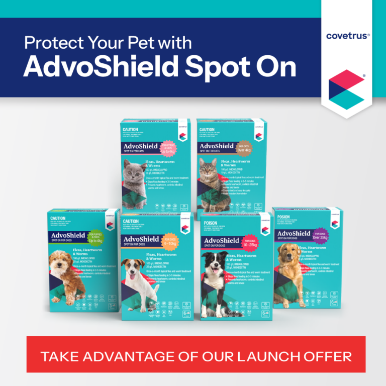 Promotions - Provet Australia