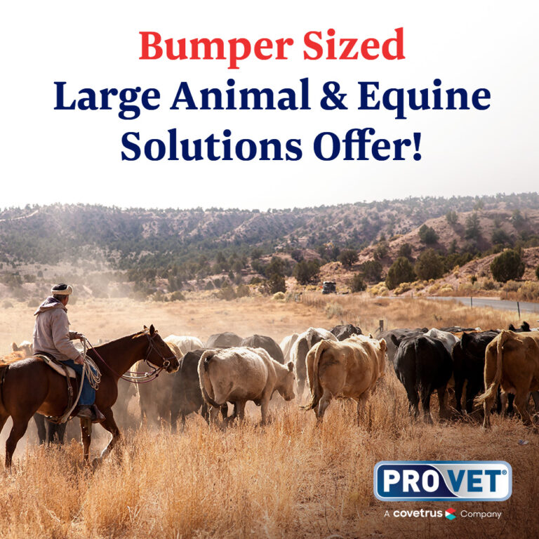 Covetrus Essentials - Provet Australia