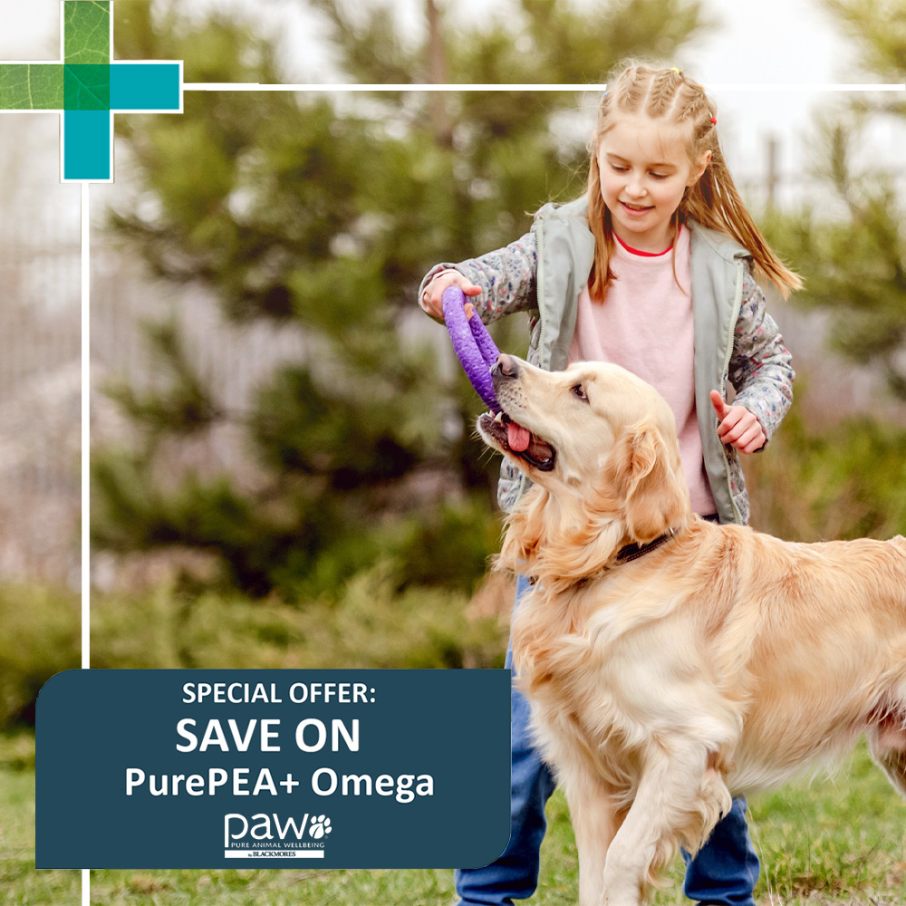 Provet Australia - Veterinary Supplies & Distribution