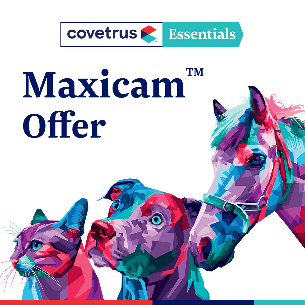 Provet Australia - Veterinary Supplies & Distribution