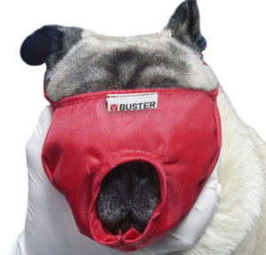 BUSTER Nylon Muzzle for Brachycephalic Breeds - Provet Australia
