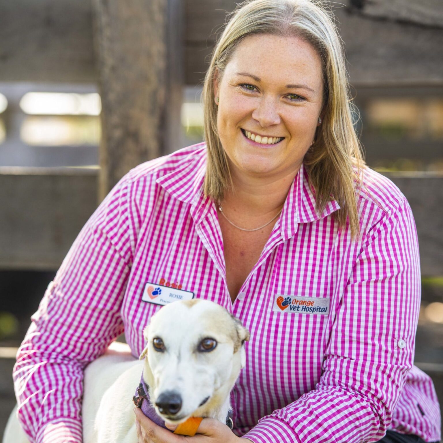 Provet Australia - Veterinary Supplies & Distribution