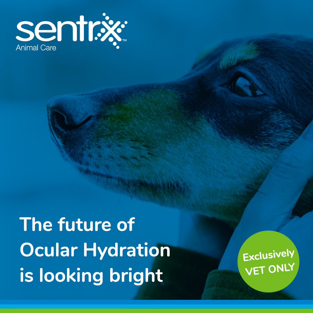 Provet Australia - Veterinary Supplies & Distribution